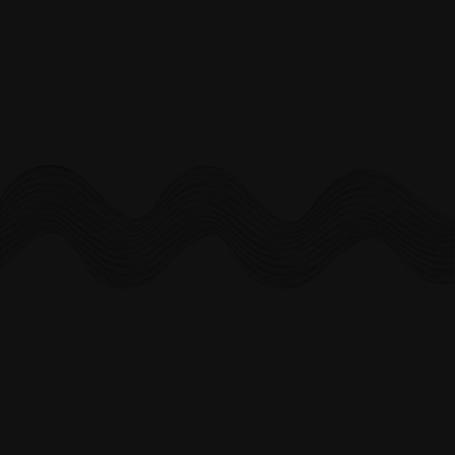 Giant - Ric Rac - Black | The Quilt Shop