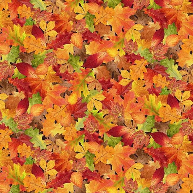 Autumn Fall Leaves - Autumn Fabric - Timeless Treasures - The Quilt Shop