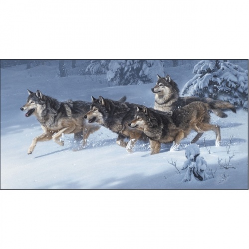 Dog Fabrics | Dog Panels | The Quilt Shop